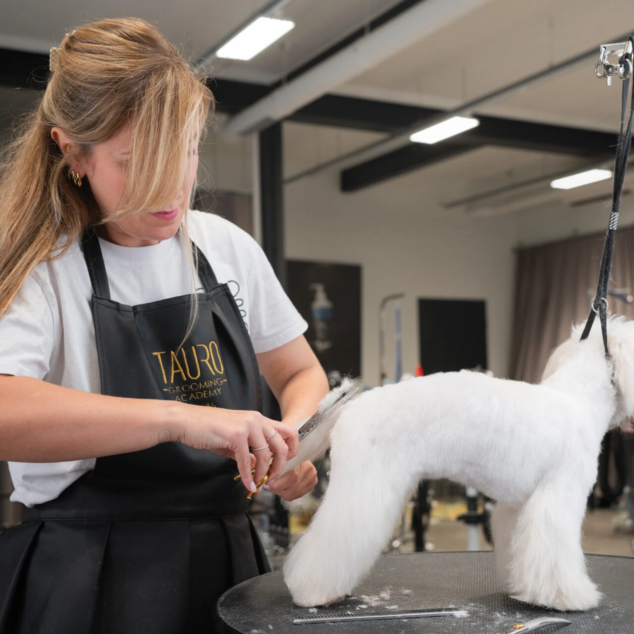 About Us - Kika Group